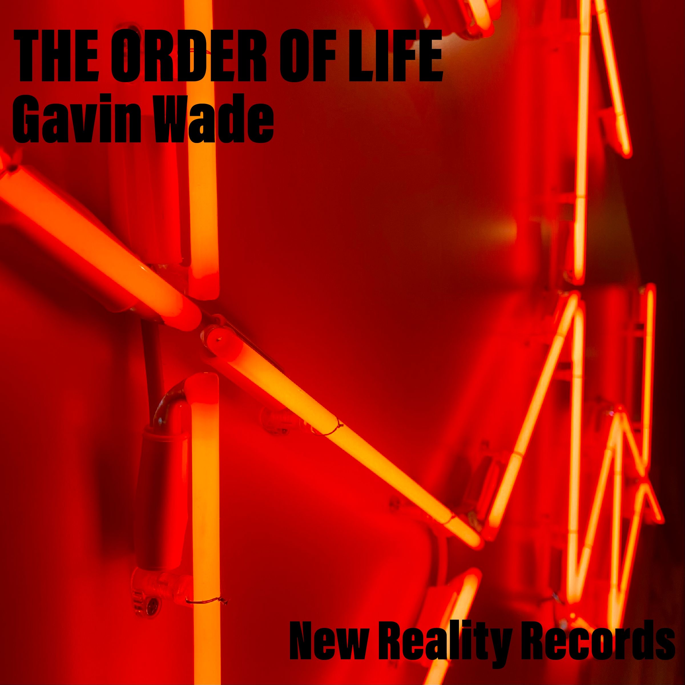 The Order of Life by Gavin Wade | Burn The Water